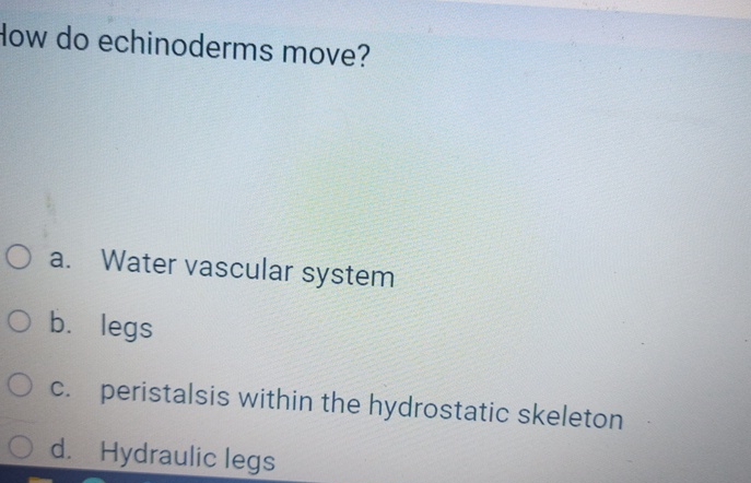 Solved low do echinoderms move?a. ﻿Water vascular systemb. | Chegg.com