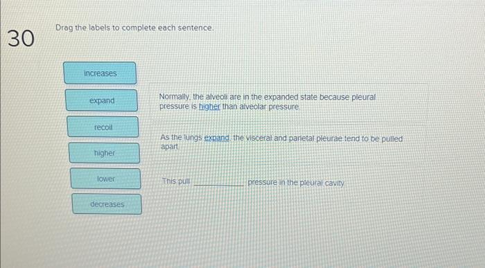 Solved Drag the labels to complete each sentence. Normally, | Chegg.com