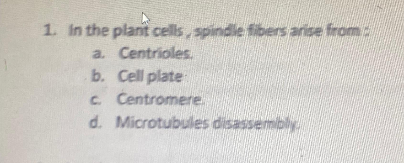 Solved In the plant cells, spindle fibers arise from :a. | Chegg.com