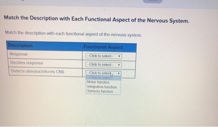 Solved Match the Description with Each Functional Aspect of | Chegg.com