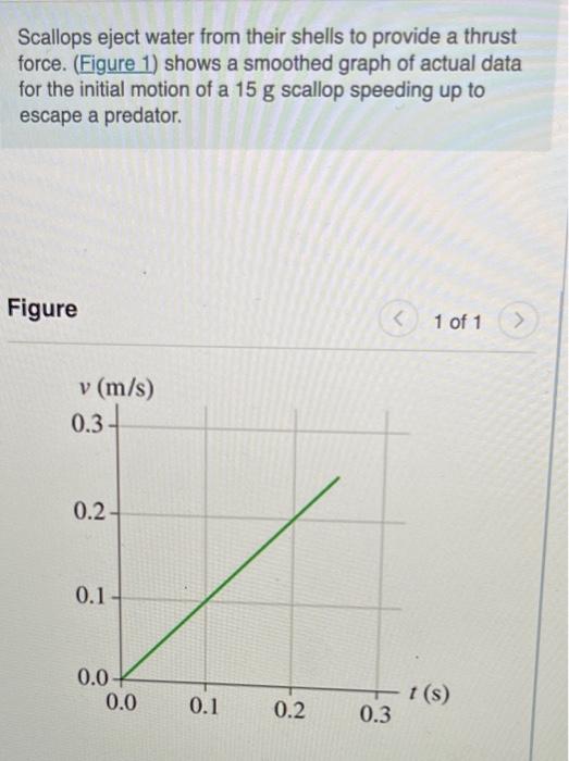 Solved What is the magnitude of the net force needed to | Chegg.com