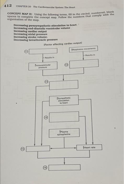 Solved 412 CHAPTER 20 The Cardiovascular System: The Heart | Chegg.com
