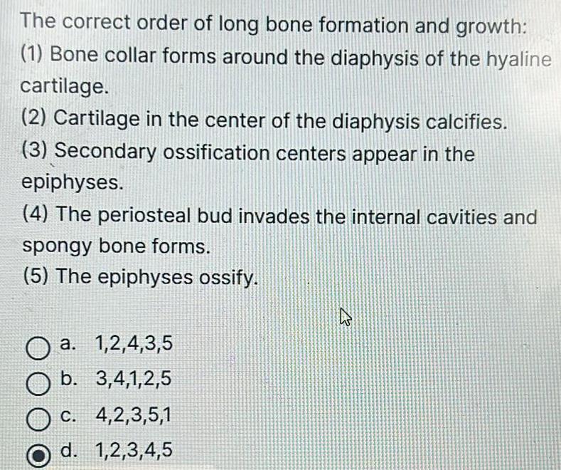 Solved The correct order of long bone formation and | Chegg.com