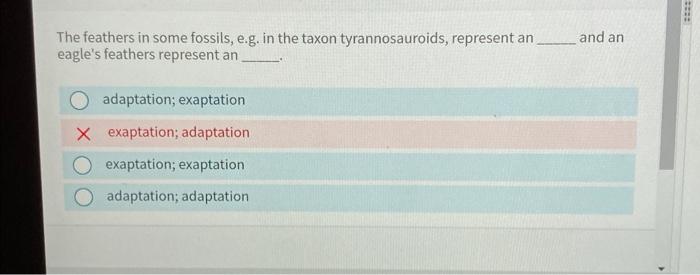 The feathers in some fossils, e.g. in the taxon | Chegg.com