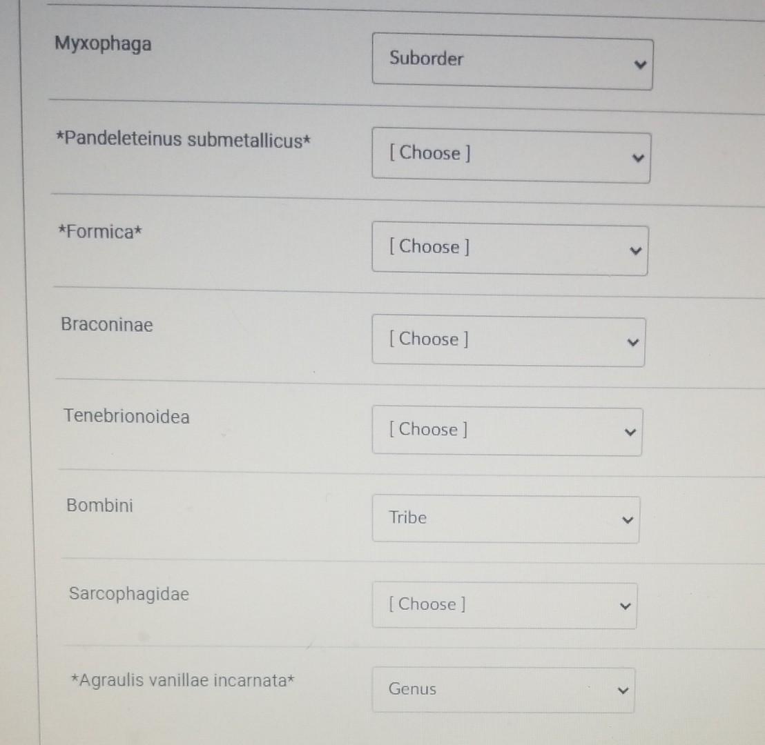 [Solved]: Match up the following taxonomic names wi
