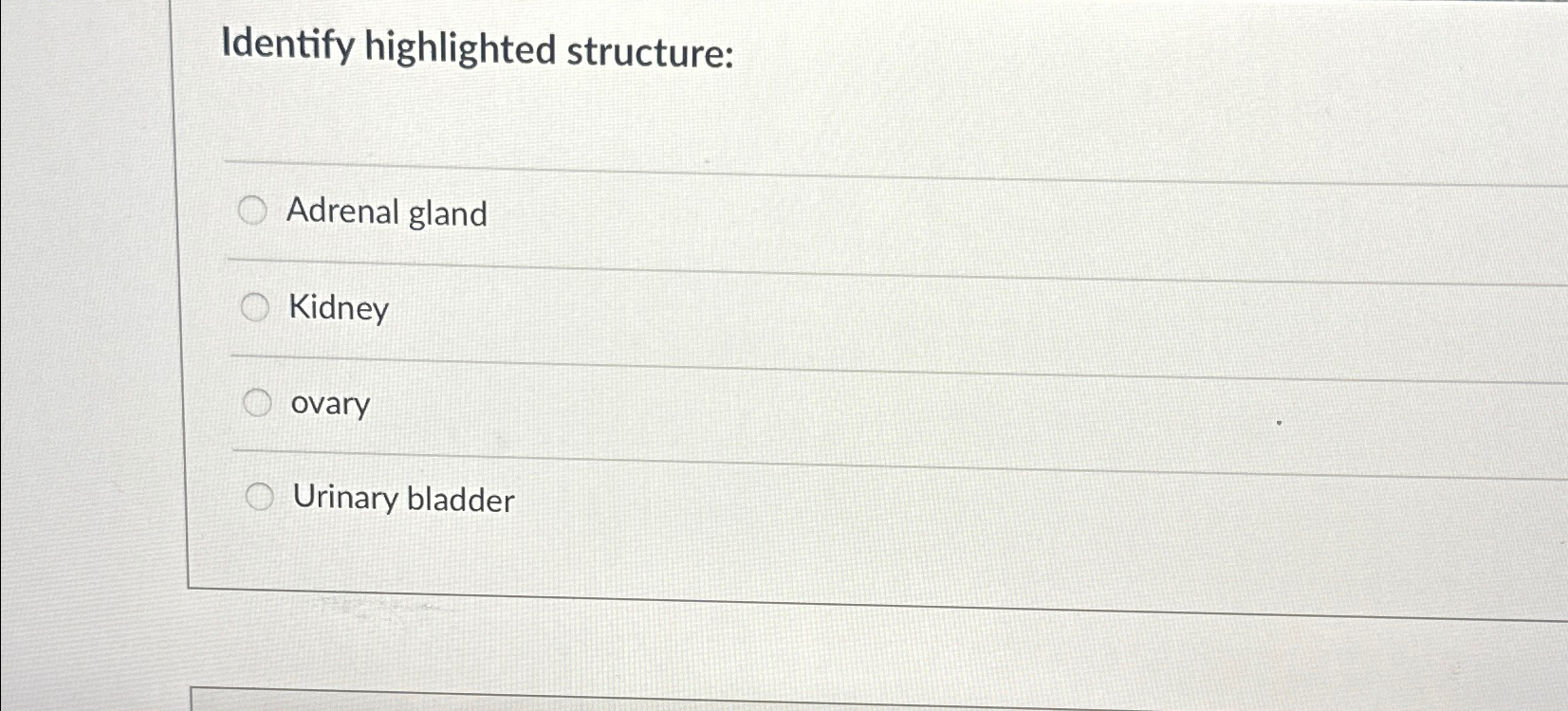 Solved Identify highlighted structure:Adrenal | Chegg.com