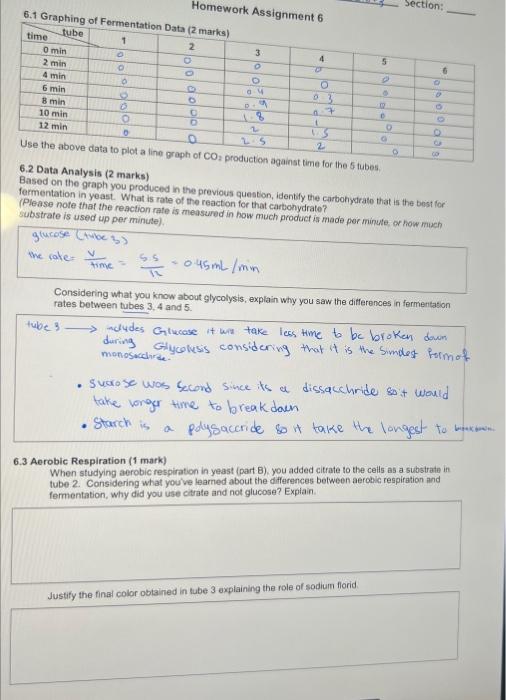 Solved 6.2 Data Analysis (2 marks) Based on the graph you | Chegg.com