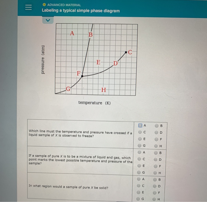 Solved O ADVANCED MATERIAL Labeling a typical simple phase | Chegg.com