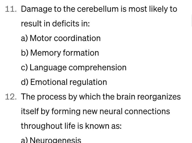 Solved Damage to the cerebellum is most likely to result in | Chegg.com
