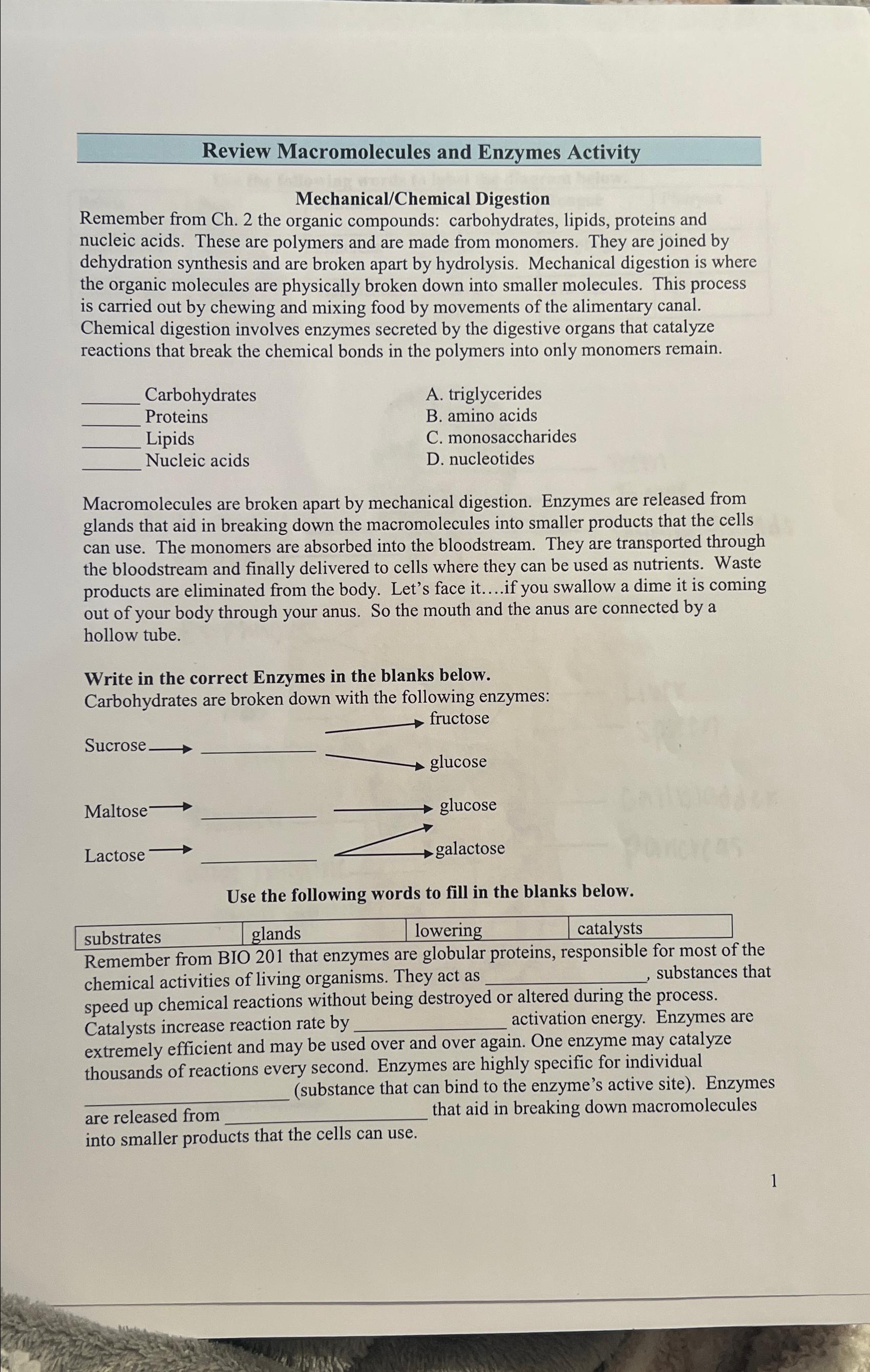 Solved Review Macromolecules and Enzymes | Chegg.com