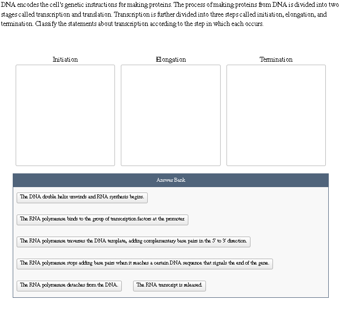 Solved DNA encodes the cell's genetic instructions for | Chegg.com