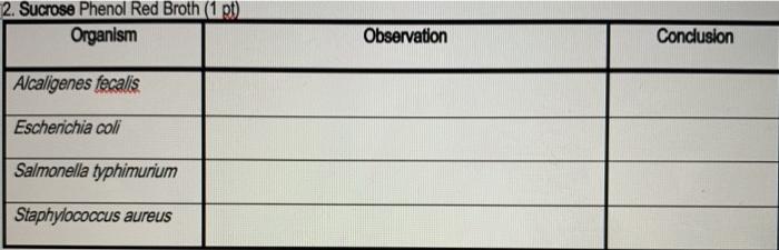 Solved Phenol Red Broth-Sucrose AF STEC | SA 87 EXP 1891 116 | Chegg.com