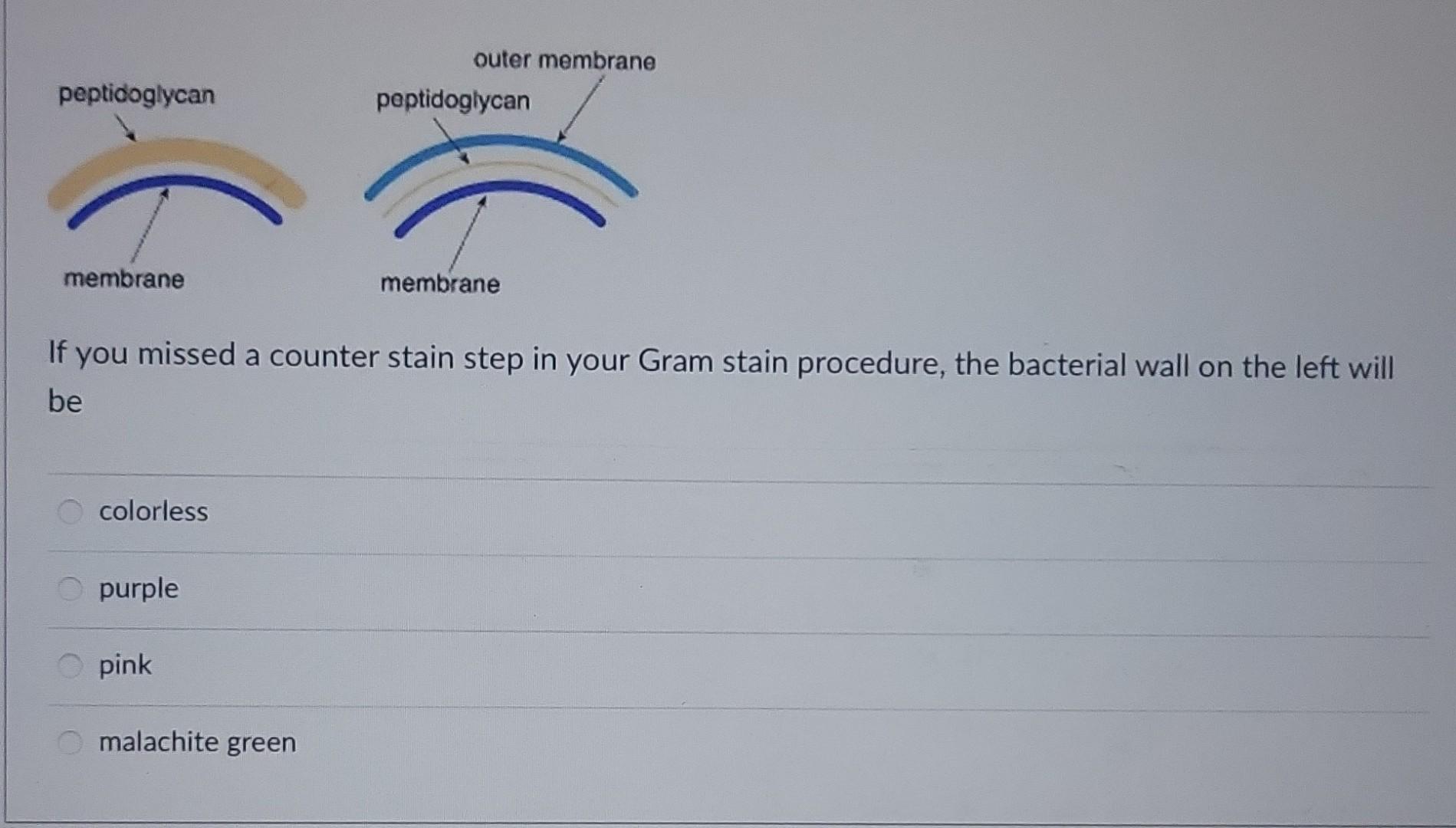 Solved This licture shows experiment UV sensitivity | Chegg.com