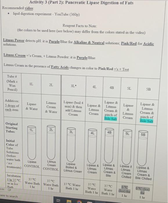 Solved DIGESTION PHYSIOLOGY LAB The following activities | Chegg.com