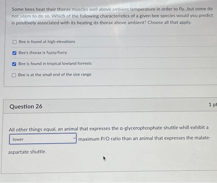 Solved Some bees heat their thorax muscles well above | Chegg.com