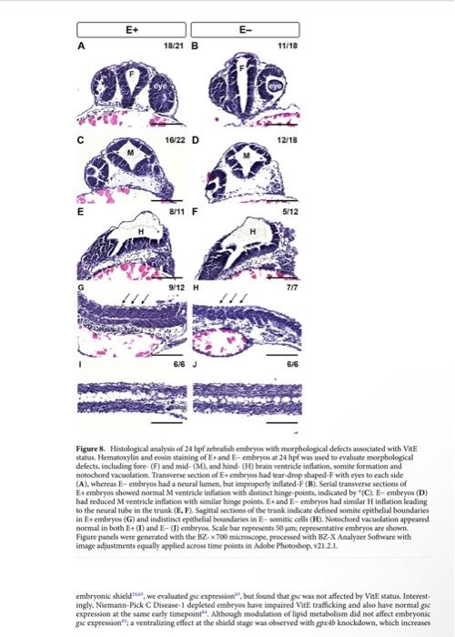 Solved Step 2: Break Down the Figures. As you read the paper | Chegg.com