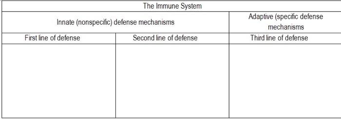 Solved The Immune System Innate (nonspecific) defense | Chegg.com