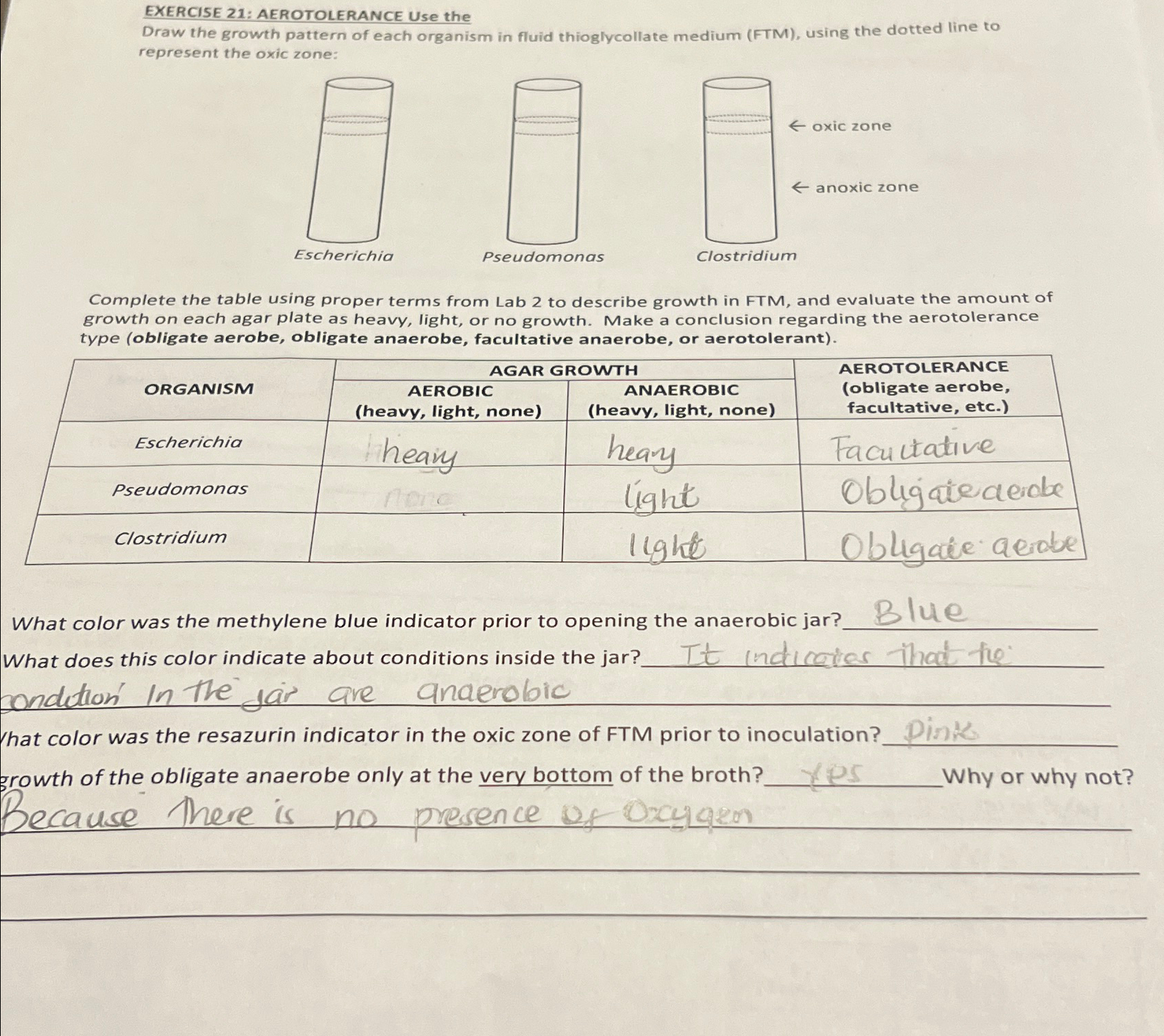 Solved EXERCISE 21: AEROTOLERANCE Use theDraw the growth | Chegg.com