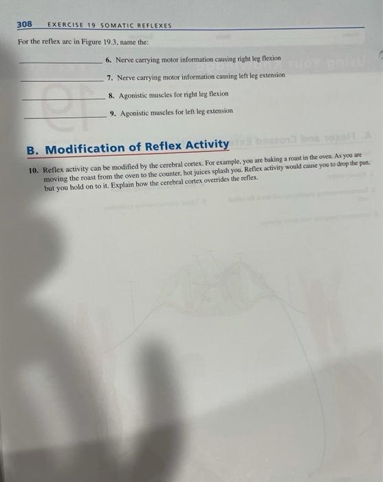 Solved 302 EXERCISE 19 SOMATIC REFLEXES Before Going to Lab | Chegg.com