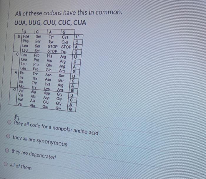 Solved Ser C Leu All of these codons have this in common. | Chegg.com