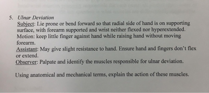 Ulnar Deviation Muscles
