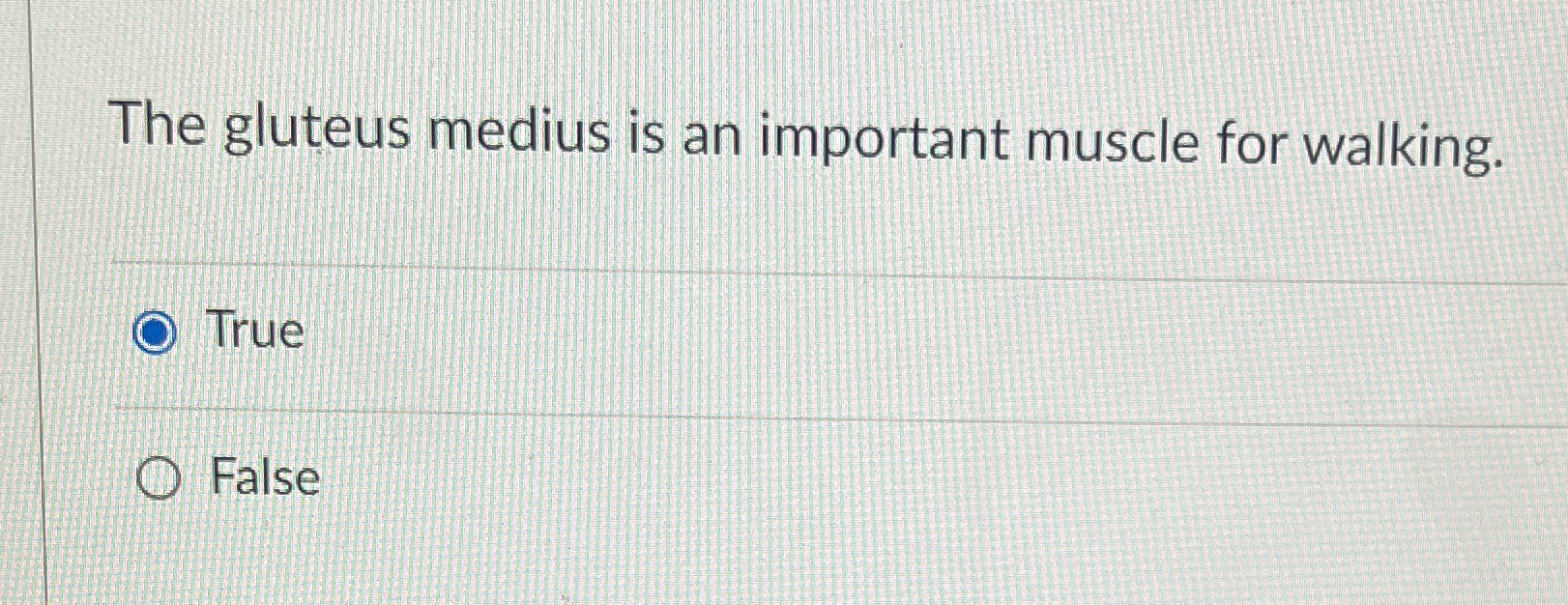 Solved The gluteus medius is an important muscle for | Chegg.com