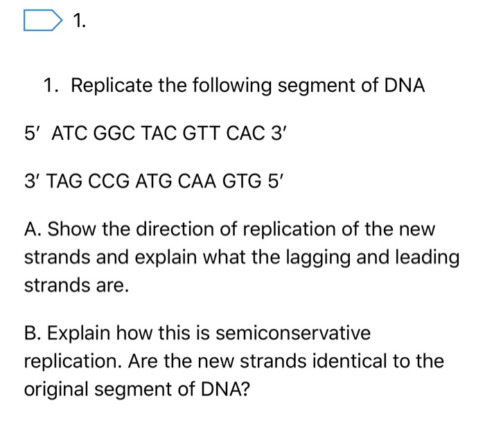 Solved D 1. 1. Replicate the following segment of DNA 5' ATC | Chegg.com