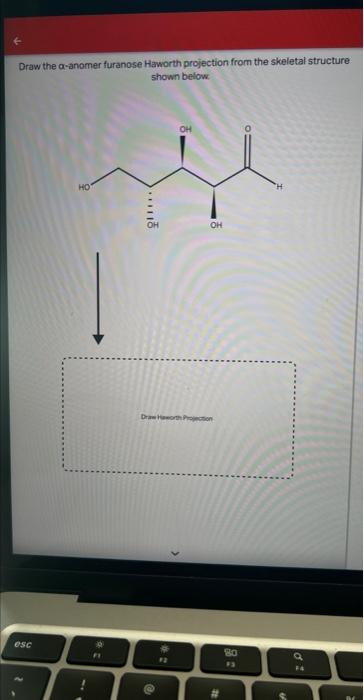 Solved Draw the a-anomer furanose Haworth projection from | Chegg.com