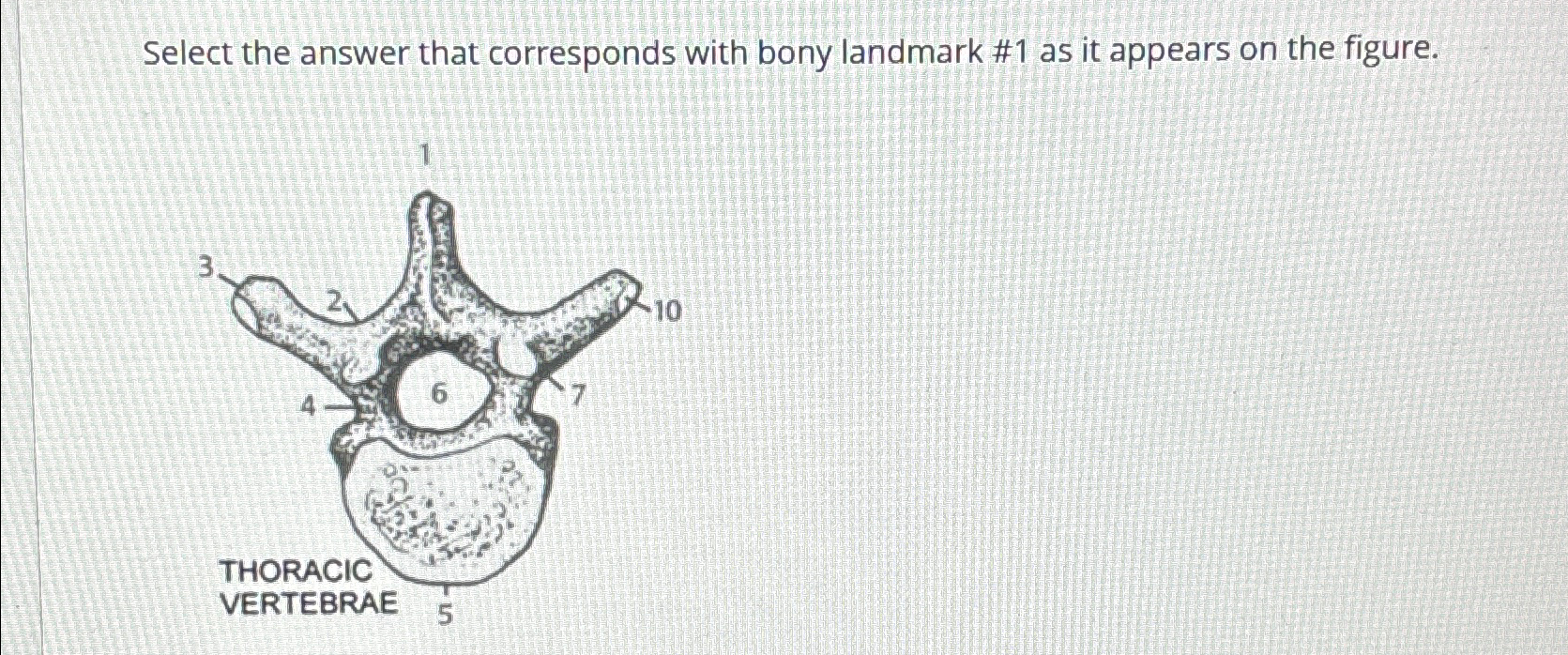Select the answer that corresponds with bony landmark | Chegg.com