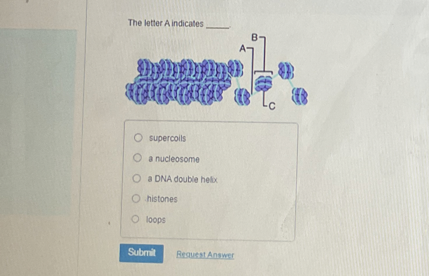 The letter A indicates q,supercoilsa nucleosomea DNA | Chegg.com