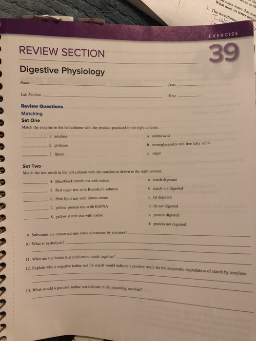 Solved 12. Explain why a negative iodine test for starch | Chegg.com