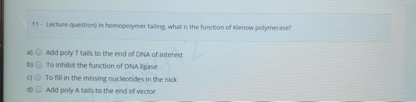 Solved 11 - Lecture question) in homopolymer tailing, what | Chegg.com