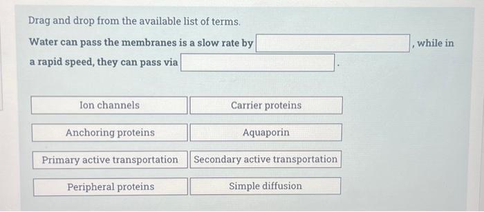 Solved Drag and drop from the available list of terms. Water | Chegg.com