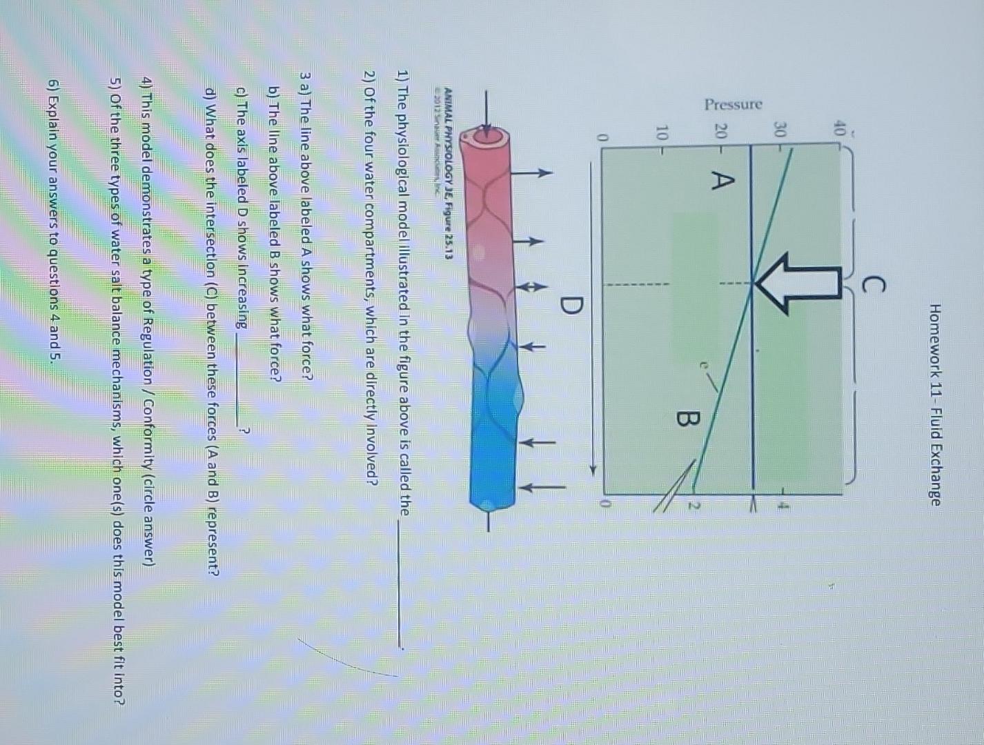 Homework 11-Fluid Exchange ANIMAL PHrSSOLOG JE, | Chegg.com