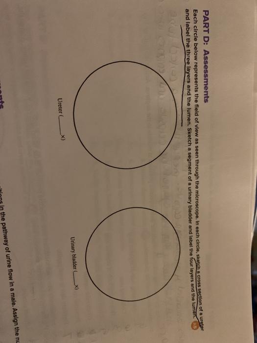 Solved PART D: Assessments Each circle below represents the | Chegg.com