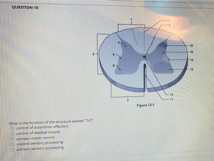 Solved QUESTION 7 12 13 14 15 10 11 Figure 12-1 Identify the | Chegg.com