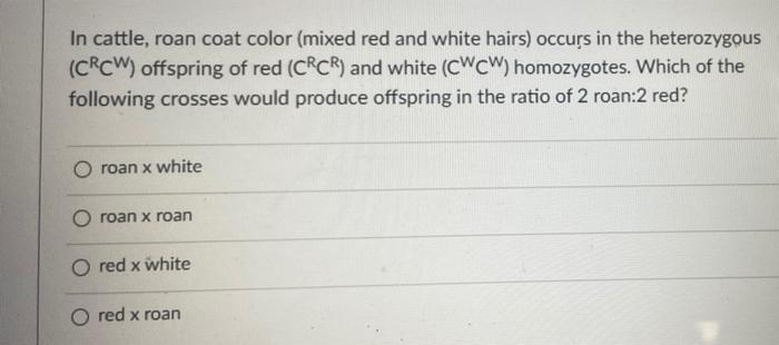 Solved In cattle, roan coat color (mixed red and white | Chegg.com