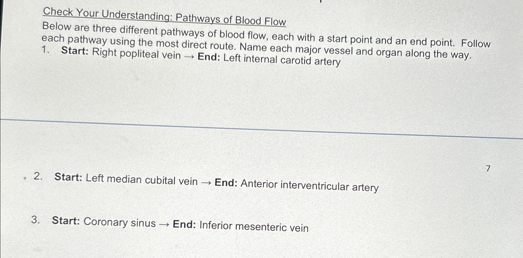 Solved Check Your Understanding: Pathways of Blood FlowBelow | Chegg.com