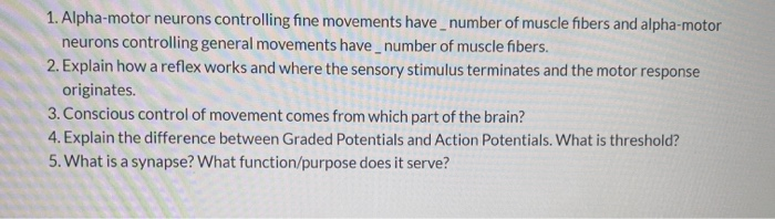 Solved 1. Alpha-motor neurons controlling fine movements | Chegg.com
