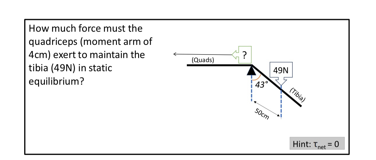 Solved How much force must the quadriceps (moment arm of 4 | Chegg.com