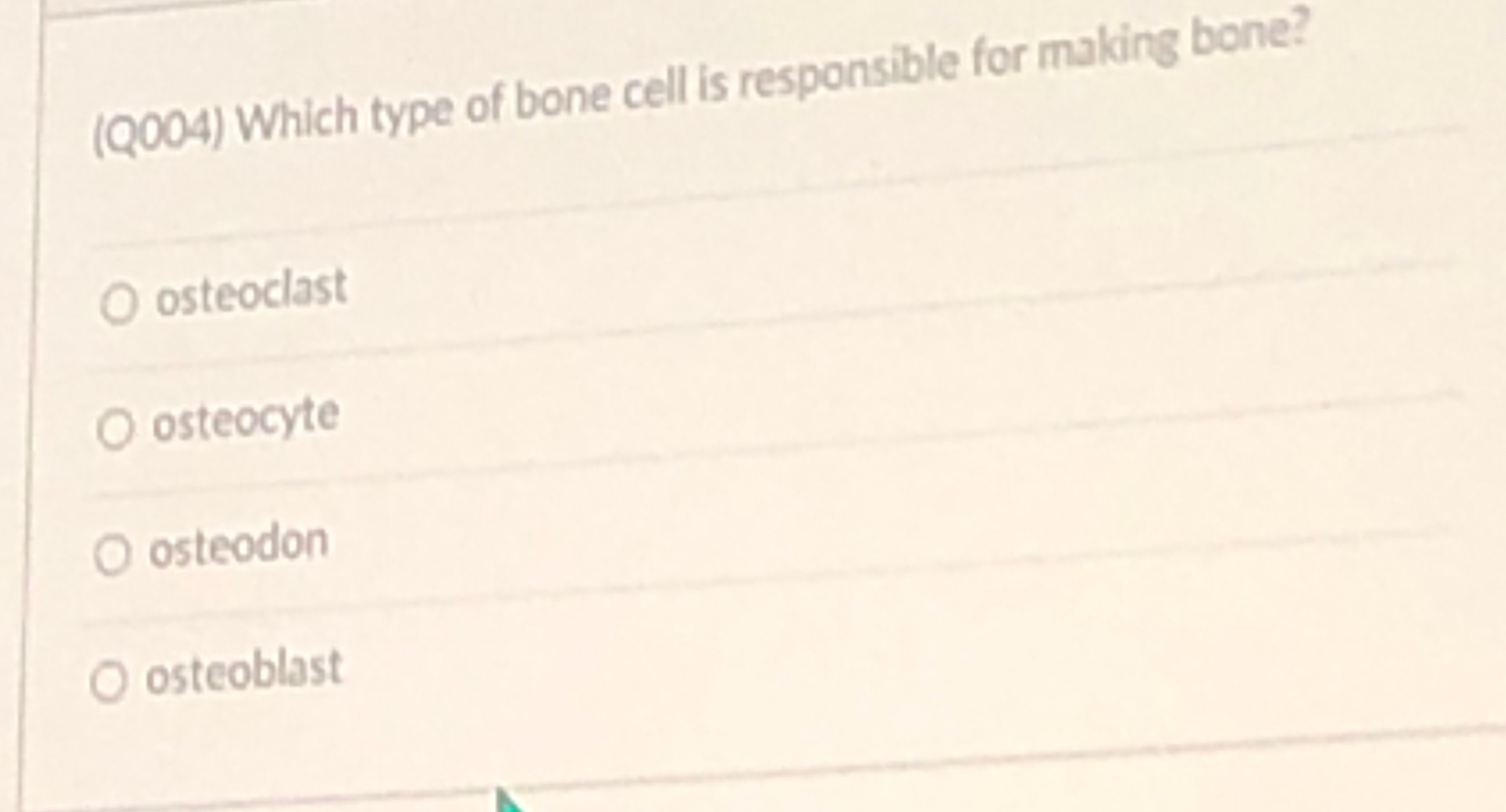 Solved Which type of bone cell is responsible for making | Chegg.com