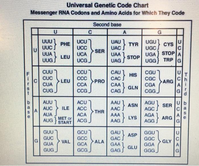 Solved which is a correct tRNA anti-codon when transporting | Chegg.com