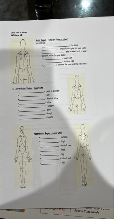 West t Intre to Mectine a1p Chiner 12 8. Mocthicils | Chegg.com