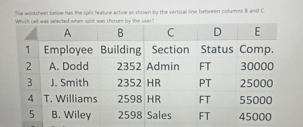 Solved The worksheet below has the split feature active as | Chegg.com