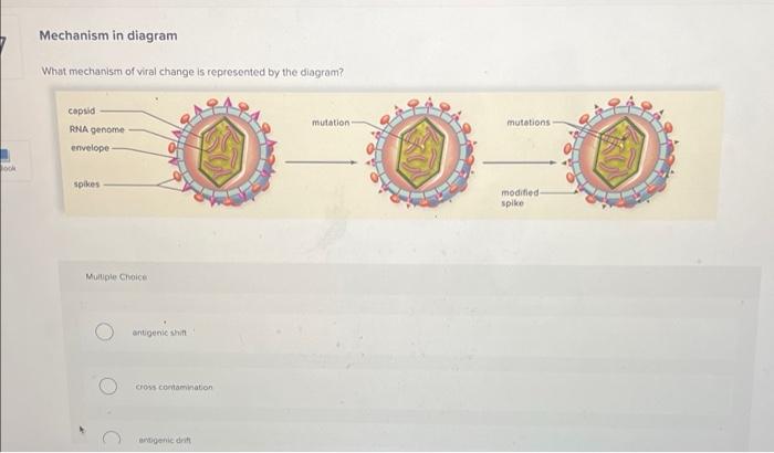 Solved Book Mechanism in diagram What mechanism of viral | Chegg.com
