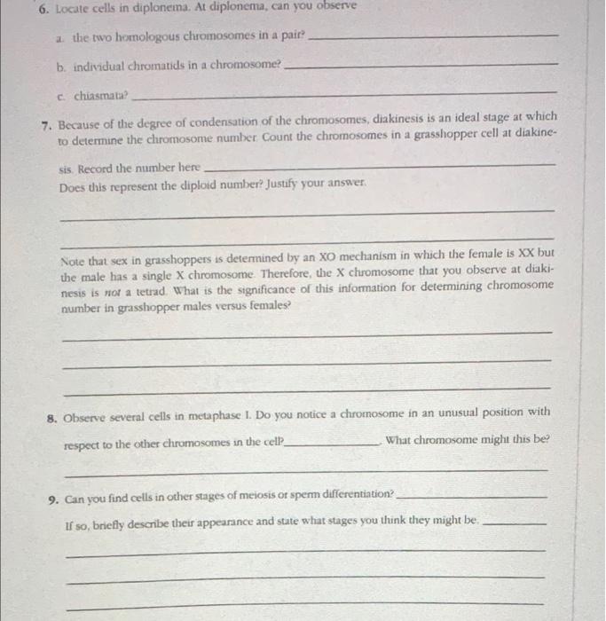 Solved 6. Locate cells in diploneina. At diplonema, can you | Chegg.com