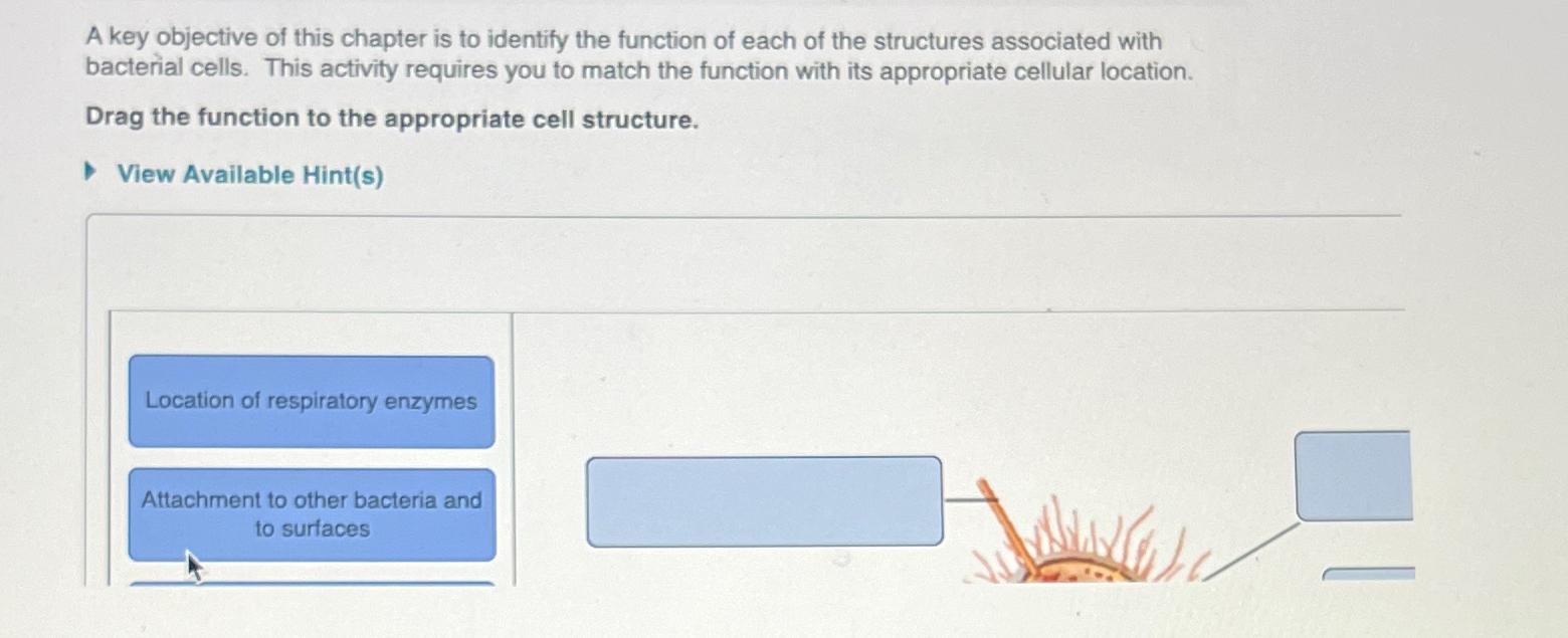 Solved A key objective of this chapter is to identify the | Chegg.com