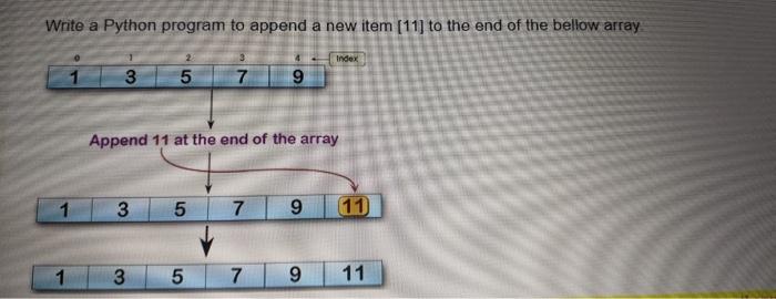 Solved Write a Python program to append a new item (11) to | Chegg.com