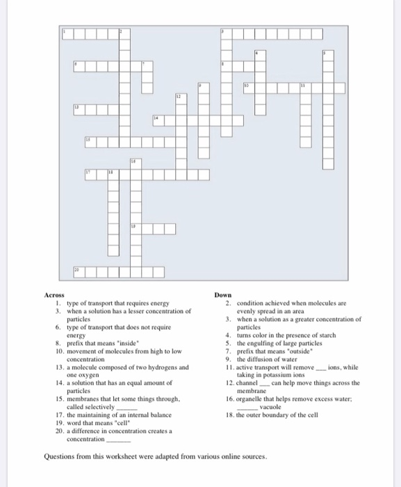 Solved Activity 5: Cell Membranes - Diffusion and Osmosis | Chegg.com