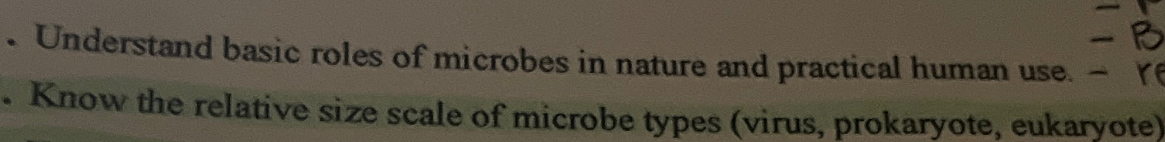 Solved the relative size scale of microbe types (virus, | Chegg.com